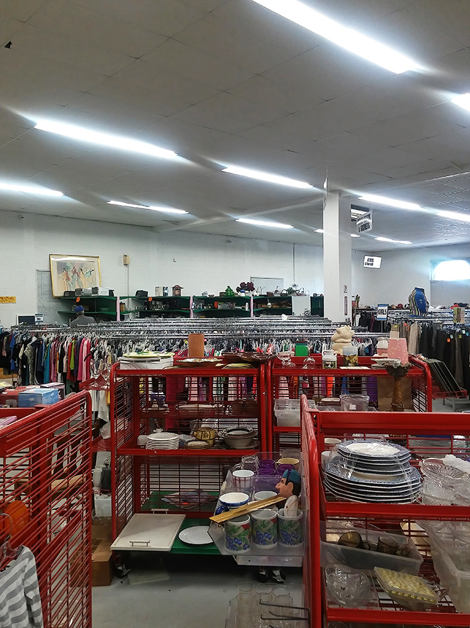 Red display cases showcase everyday china waiting for second chances, proof that yesterday's dinner plates still have plenty of meals left to serve.