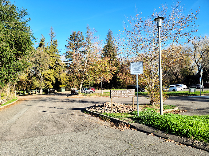 Dog Island Park's walking paths offer that perfect combination of exercise and scenery that makes you forget you're actually doing something healthy.