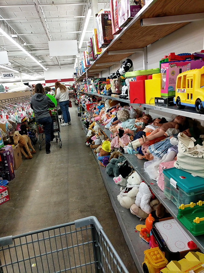 Stuffed animal adoption center where plush creatures patiently wait for their forever homes. That white unicorn is giving you eyes.