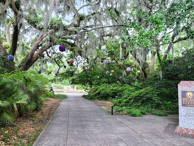 Colorful orbs dangle like exotic fruit among the Spanish moss, creating whimsical pathways that would make Alice's Wonderland jealous.