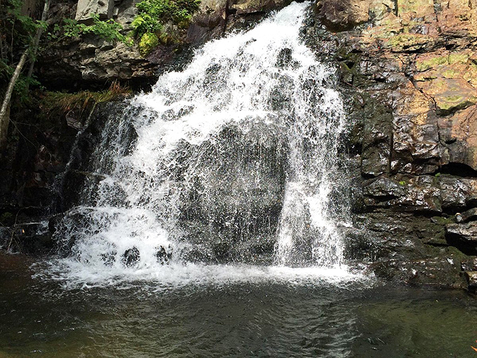 Nature's own water feature creates a peaceful cascade that sounds better than any meditation app.
