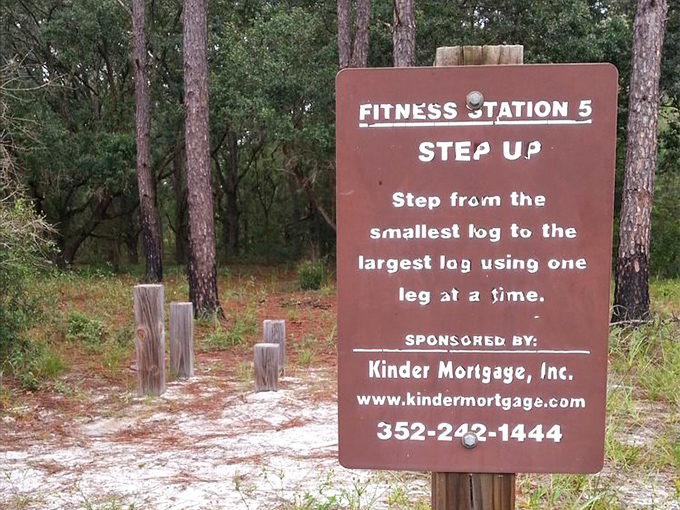 The park's fitness trail: where "step up" means literally stepping up on logs while surrounded by pine-scented air instead of gym sweat.