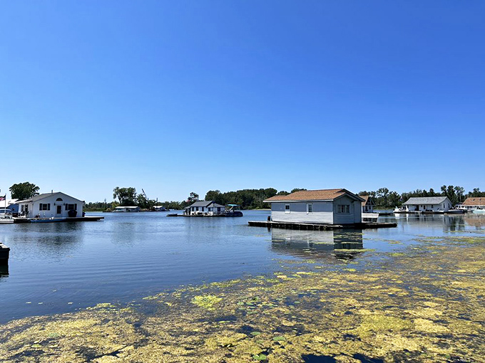 Floating homes create a unique waterfront neighborhood where lake living meets cozy cabin charm year-round.