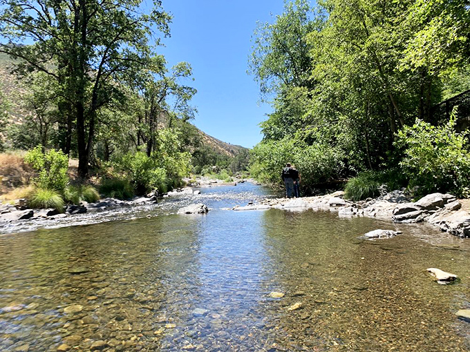 Clear waters reflect the California sunshine as they meander through town. This creek isn't just scenery &ndash; it's an invitation to kick off your shoes.