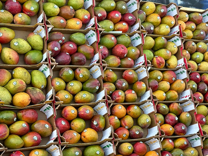 Nature's candy, perfectly arranged. These mangoes didn't travel far to get here, but they'll disappear faster than that vintage lamp you hesitated on.