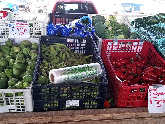 Farm-fresh vegetables arranged with market-day pride. Those red peppers practically demand to be the star of tonight's dinner.