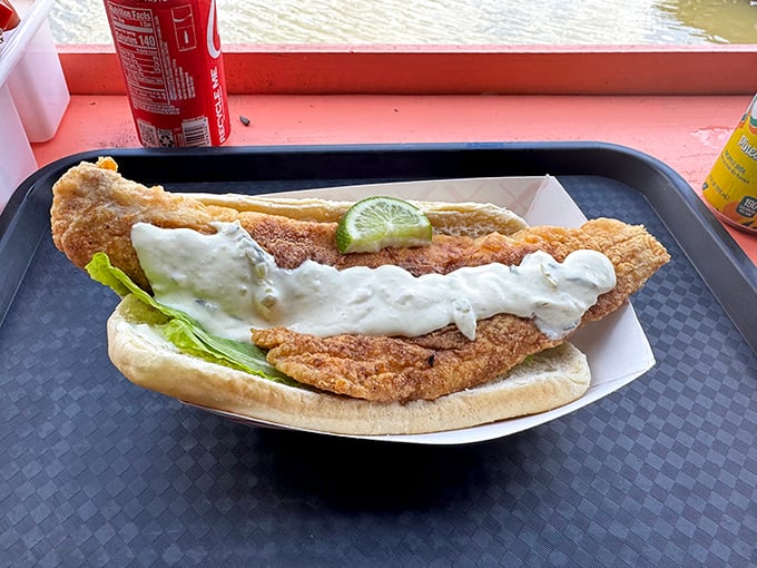 A fried fish sandwich so massive it requires strategic planning to eat. That tartar sauce river flowing down the middle? Pure genius.