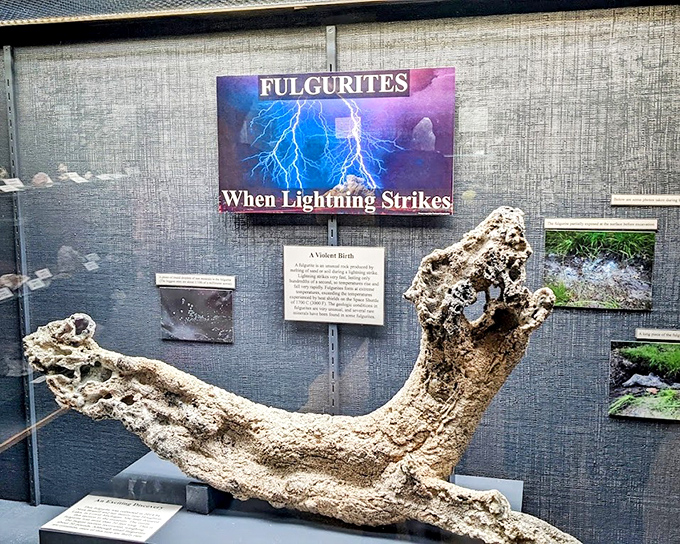 When lightning strikes sand, it creates these fulgurites—nature's way of turning a violent moment into a permanent geological souvenir.