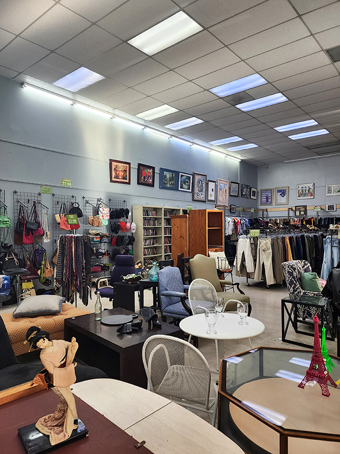 The furniture section &ndash; where mid-century meets modern, vintage meets value, and someone's discarded sofa becomes your reading nook revelation.