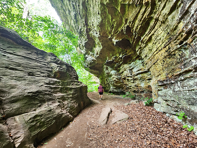 Giant City's ancient rock corridors make you feel simultaneously tiny and timeless &ndash; nature's architecture predating human history by millions of years.