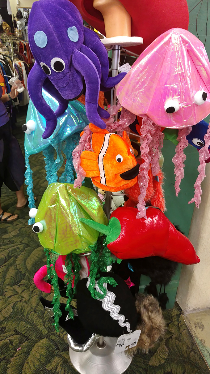 Ocean-inspired plush hats bring unexpected whimsy to the desert, perfect for Tucson's famous costume parties or just Tuesday fun.
