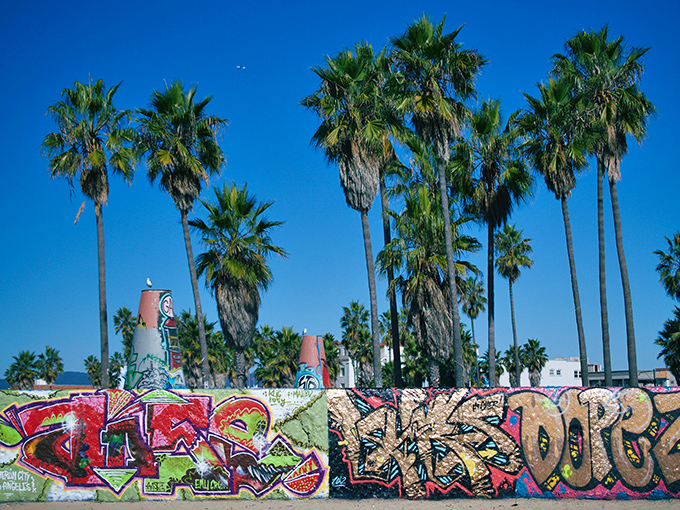 Venice's street art gallery doesn't charge admission but delivers more authenticity than most museums with gift shops.