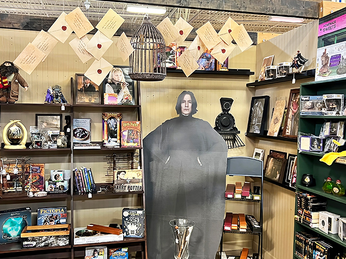 Severus Snape stands guard over a magical collection that would make even Dumbledore jealous. Accio credit card!
