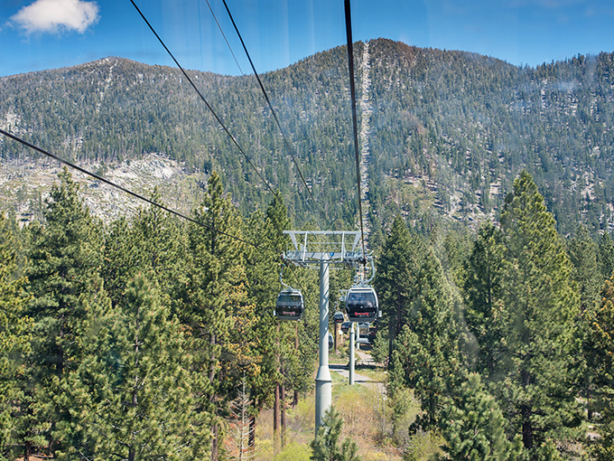 The Heavenly Gondola carries visitors skyward through a cathedral of pines, promising views that justify both the name and the anticipation.