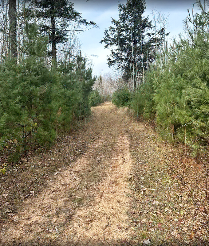 Nature trails here don't need Instagram filters&mdash;pine-scented pathways crunch underfoot while chickadees provide the soundtrack that no playlist can match.