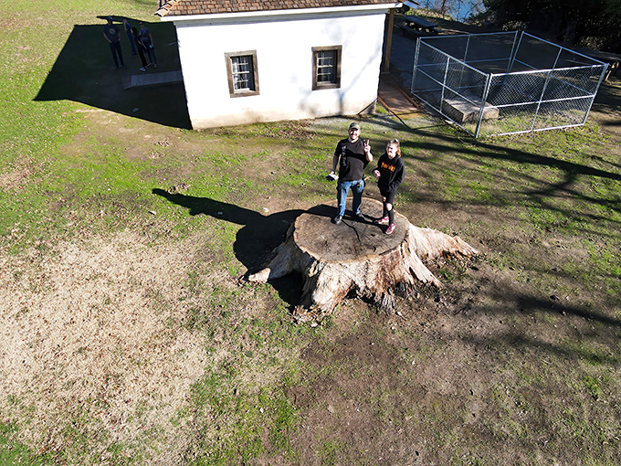 Even tree stumps become attractions in Red Bluff, where outdoor adventures await just steps from downtown.