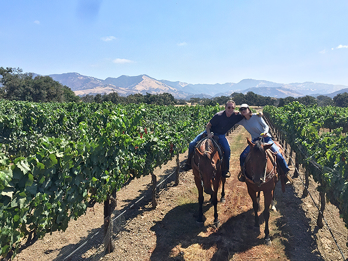 Horseback riding through vineyards—because the only thing that improves a wine country vista is experiencing it from the saddle of a noble steed.