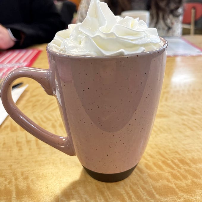 Hot chocolate so decadent it deserves its own zip code, topped with a cloud of whipped cream that could make angels jealous.