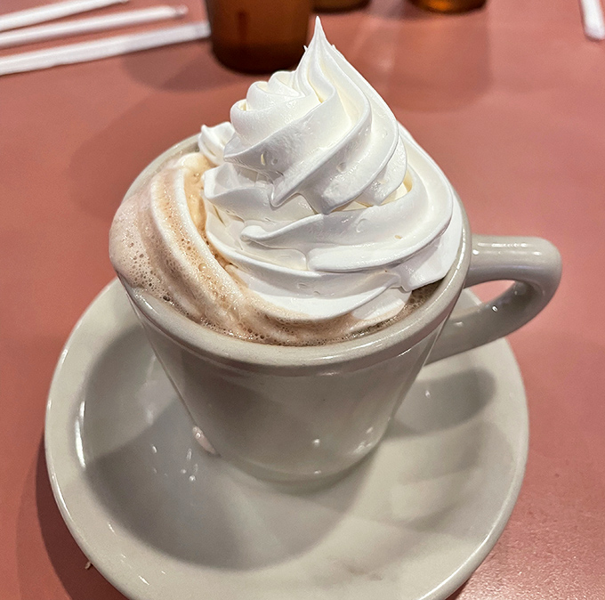 Hot cocoa topped with whipped cream because sometimes you need liquid comfort in a mug.