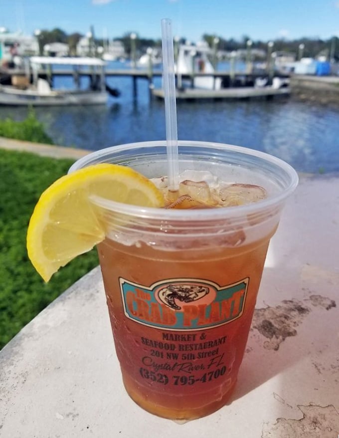 Nothing complements seafood quite like sweet tea with a lemon wedge, especially when enjoyed with a view of Crystal River's peaceful waters.