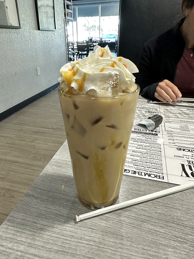 The iced coffee that launched a thousand productive mornings. That whipped cream crown deserves its own royal title and possibly a small principality.