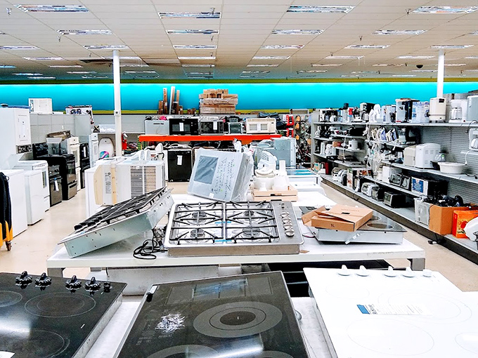 Kitchen gadgets and small appliances await their next culinary adventure, like retired chefs ready for one more service.