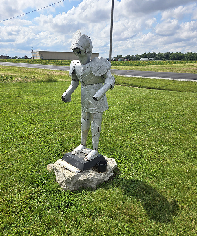 Meet the dragon's faithful guardian, a knight in shining armor who never calls in sick or asks for vacation time.