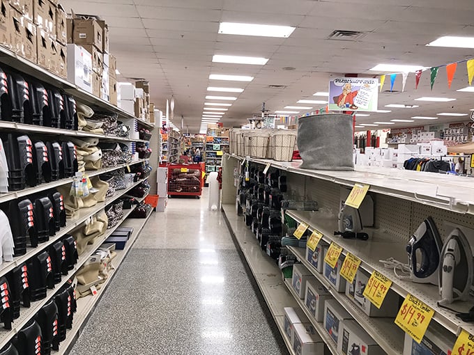 An aisle that proves even the most mundane household necessities can become exciting discoveries when the price is surprisingly right.