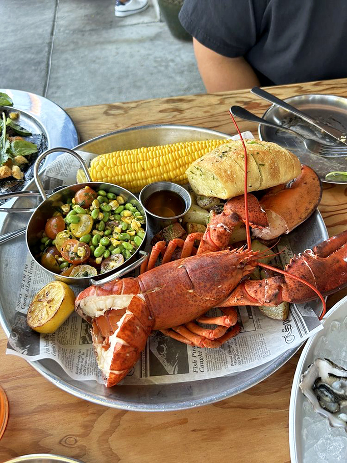 This isn't just a lobster platter; it's a seafood celebration where the guest of honor brought corn, potatoes, and succotash to the party.