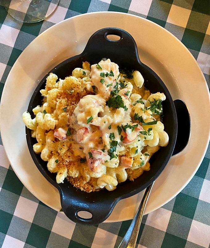 Lobster mac and cheese: where comfort food puts on its fancy pants and still remembers where it came from.
