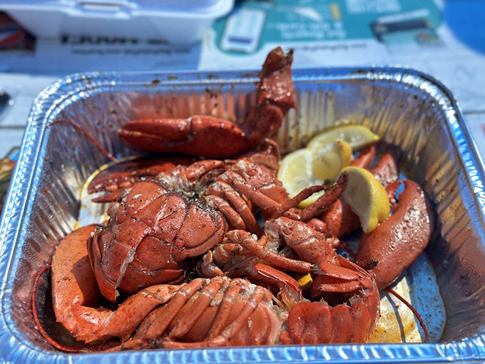 Lobsters lounging in their foil hot tub, waiting for their lemon butter bath. Red crustacean royalty ready for their delicious destiny.