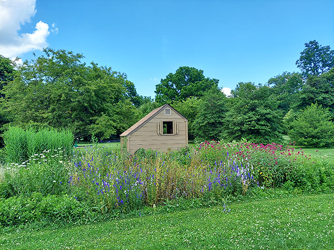 Garden shed or storybook cottage? This charming structure surrounded by wildflowers looks like where fairy tales begin their second act.