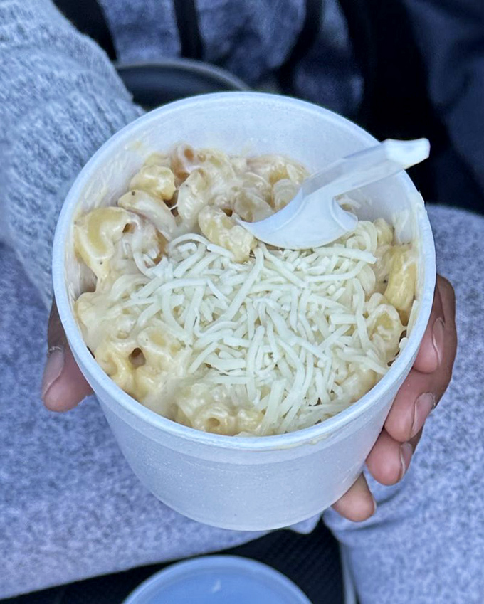 Mac and cheese that doesn't know the meaning of "too cheesy." This comfort food classic gets the respect it deserves with a blanket of melted goodness.