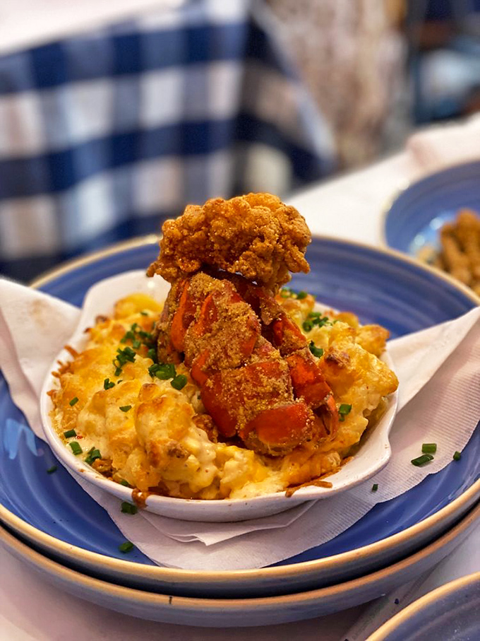 Mac & cheese gets the royal treatment with crispy fried catfish standing guard. This isn't your childhood comfort food—it's all grown up.