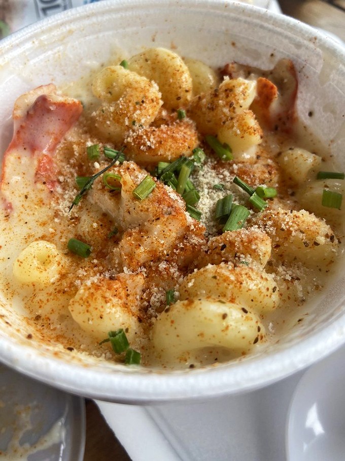 Mac and cheese gets the ocean upgrade it deserves. Tender pasta swimming in creamy sauce with seafood that wasn't an afterthought but the whole point.