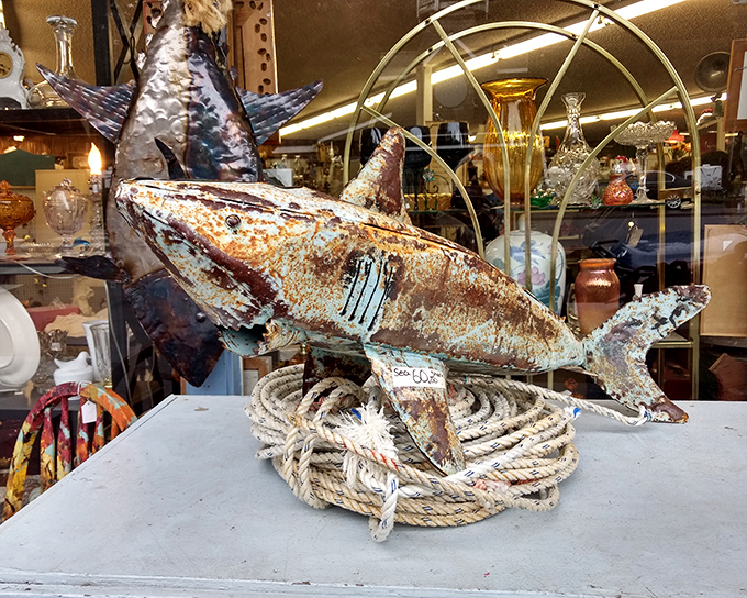 Jaws would be jealous! This metal shark sculpture captures the rustic coastal spirit of Oregon, ready to swim from this display straight to your living room.