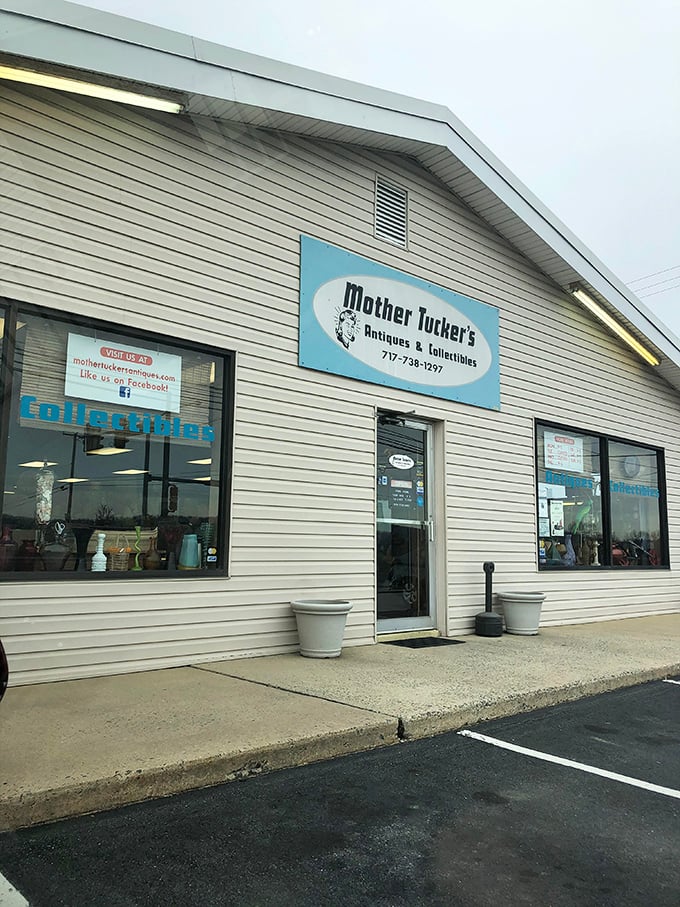 Mother Tucker's proves that one person's clutter is definitely another person's carefully curated collection of pure gold.