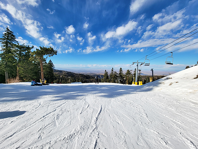 Perfect powder greets skiers at Mountain High, where Los Angeles residents can swap palm trees for pine trees in under two hours.