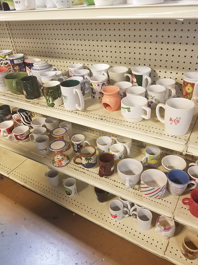 Mug archaeology: each handle tells a story&mdash;from forgotten corporate retreats to abandoned vacation souvenirs and "World's Best" someones.