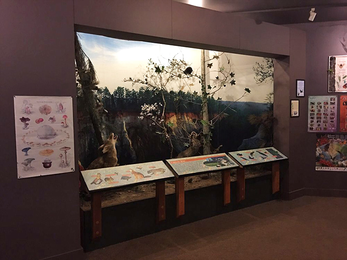 The visitor center's exhibits reveal how poor farming created one of Georgia's most stunning accidents.