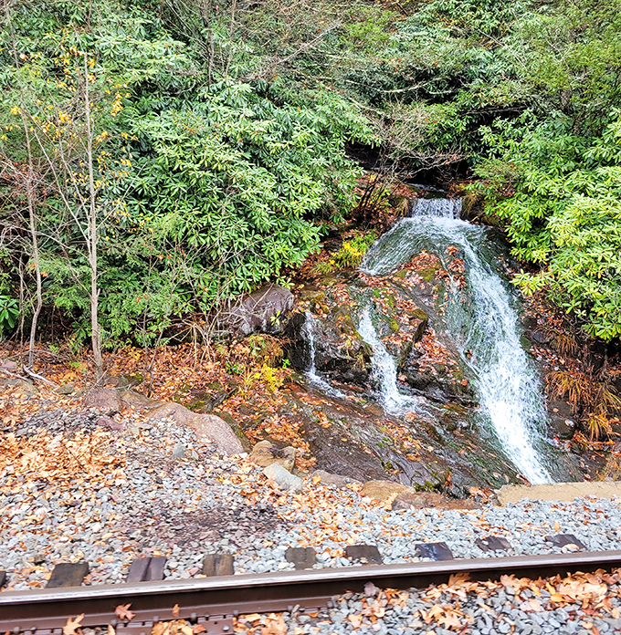 Nature's own waterfall serenades passing trains, a delicate cascade that's been performing the same symphony for centuries to appreciative rolling audiences.