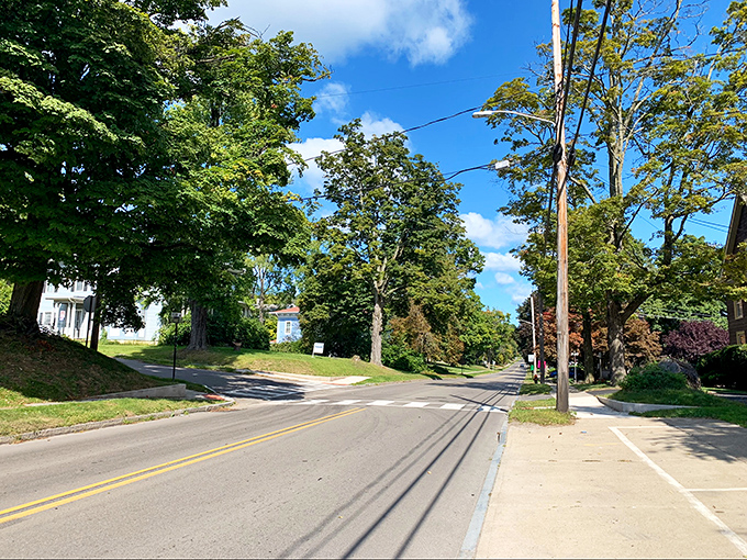 Tree-lined streets where the morning commute might involve dodging squirrels rather than traffic. Suburban bliss without suburban prices.