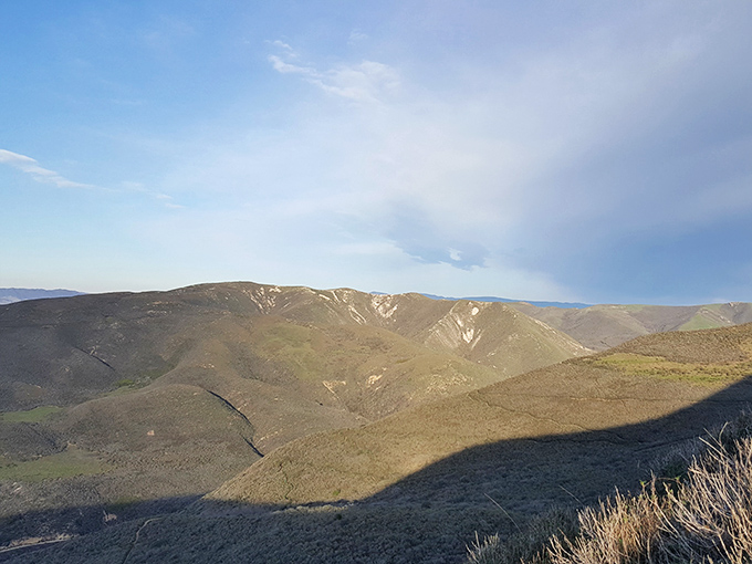 Rolling golden hills that would make Windows desktop wallpaper designers weep with joy. California's landscape at its most iconic.