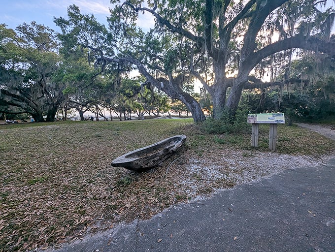 Southern sentinels draped in Spanish moss frame the picnic area. These ancient oaks have witnessed centuries of island history.