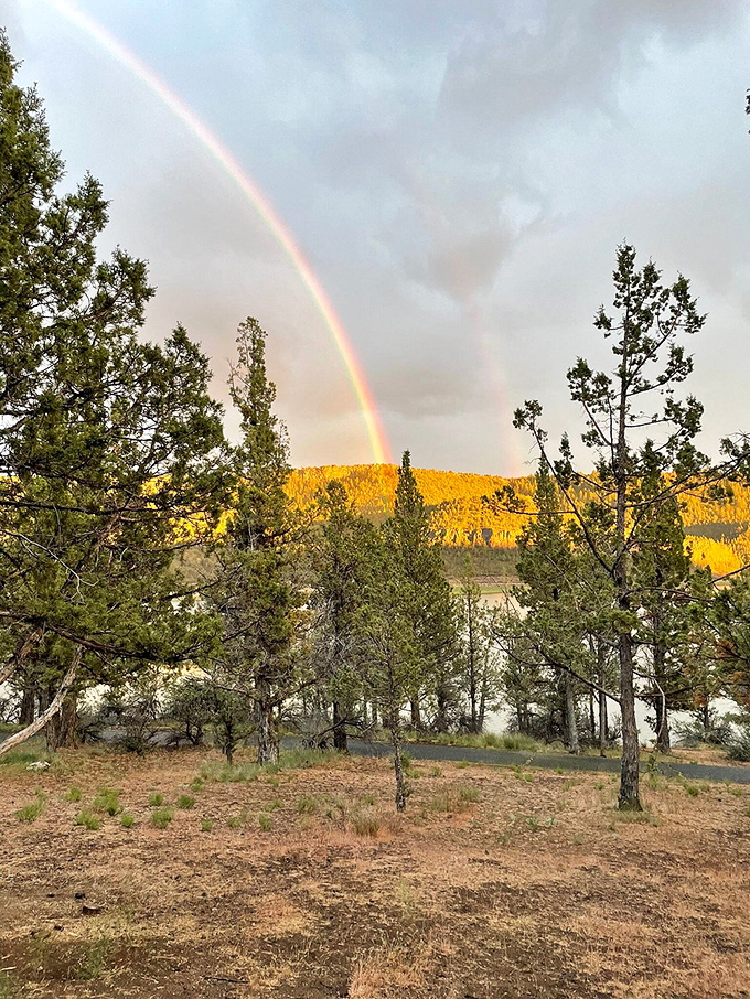 Even rainbows seem to know where the good views are in Prineville. Nature's light show perfectly framed by ponderosa pines.