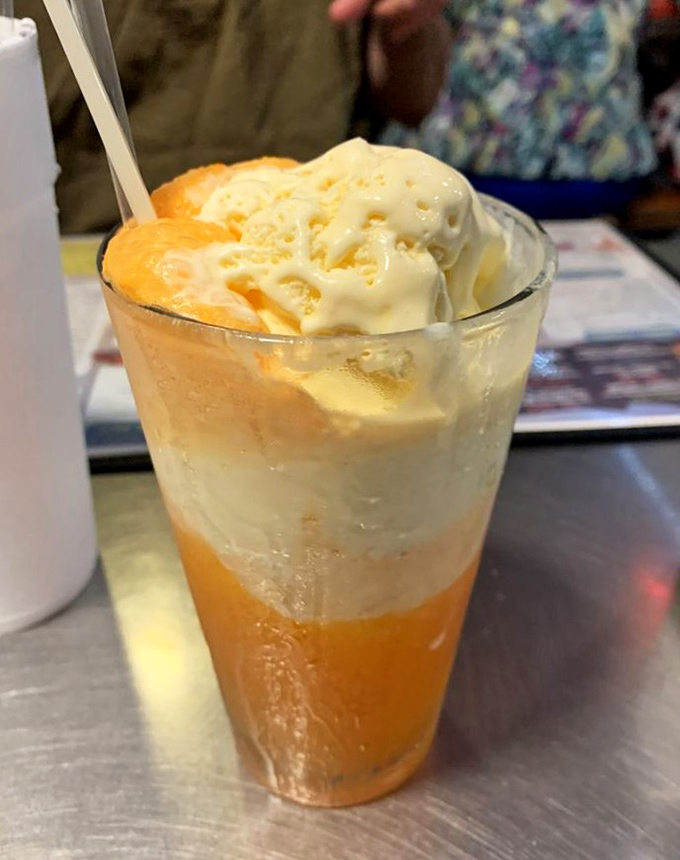 Liquid nostalgia in a glass. Remember chasing the ice cream truck? This float brings back summer memories with every sip.