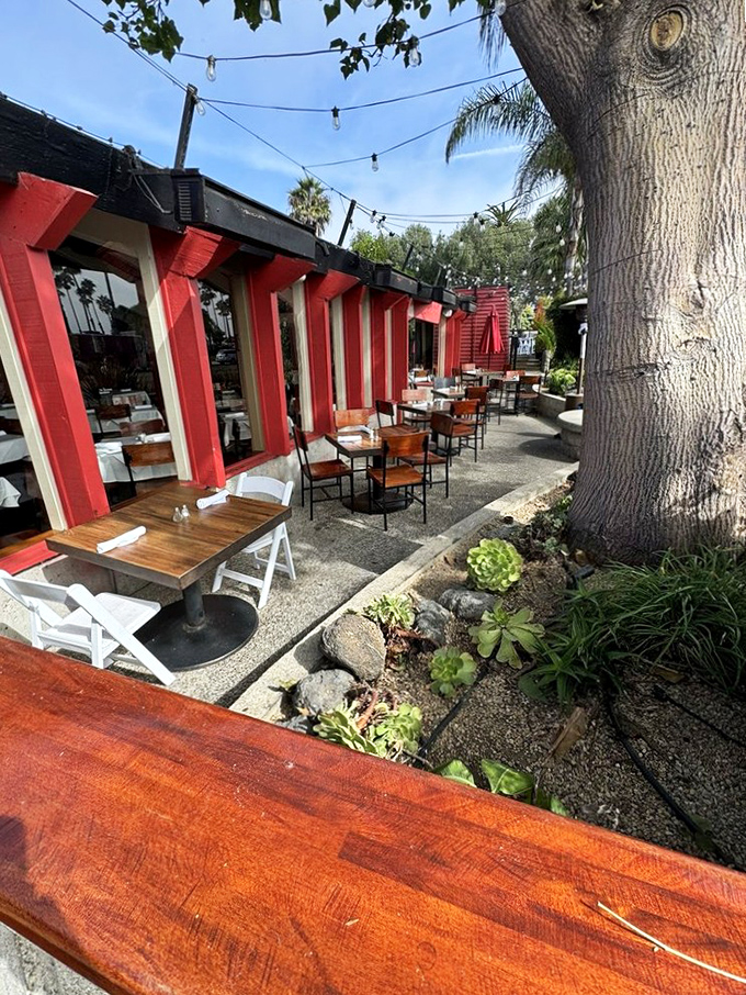 String lights and palm trees create the quintessential California coastal dining experience where every meal feels like vacation.