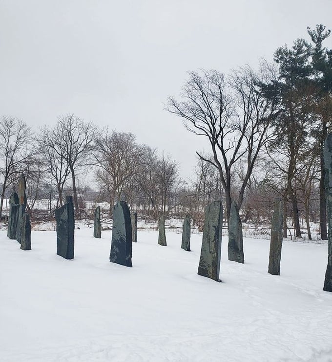 Winter transforms these stone sentinels into something from a Nordic fairy tale, their stoic forms more dramatic against the snow.