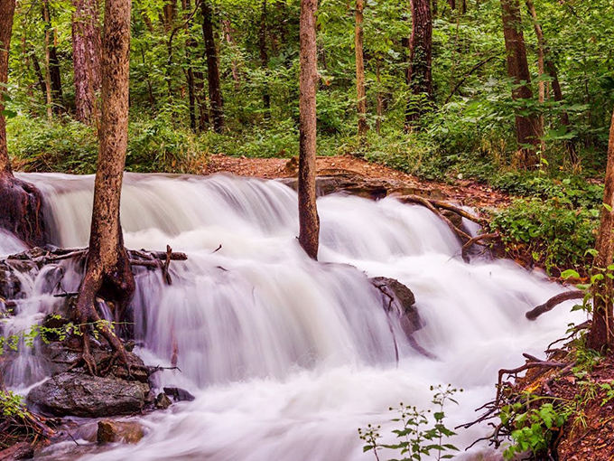 Mother Nature showing off again—Parkville Nature Sanctuary's waterfalls create the kind of serenity you can't download from a meditation app.