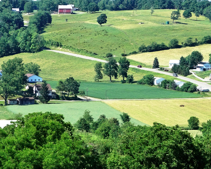 Patchwork perfection. From this vantage point, Amish farms create a living quilt of greens and golds across the rolling hillsides of Holmes County.